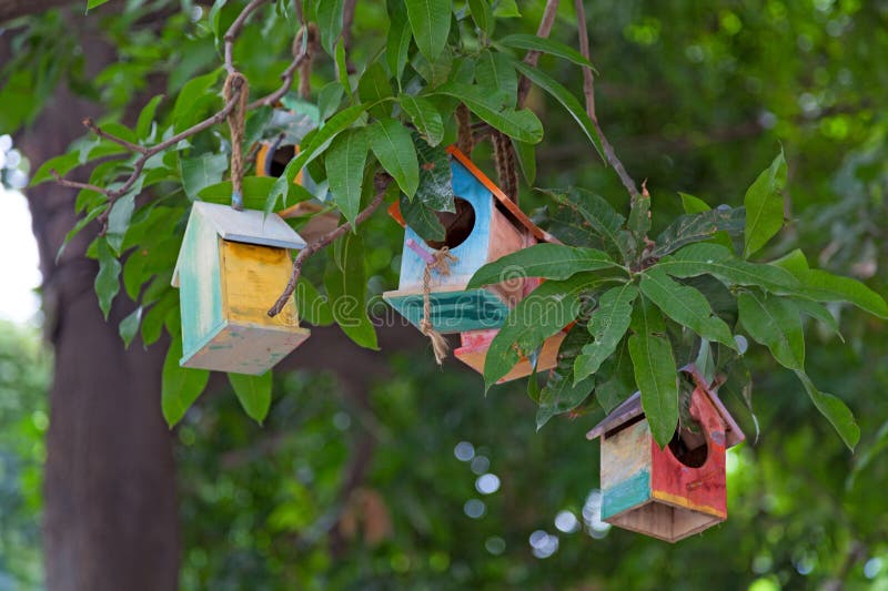 Colorful Bird Houses in a Tree Stock Photo - Image of nature, material ...