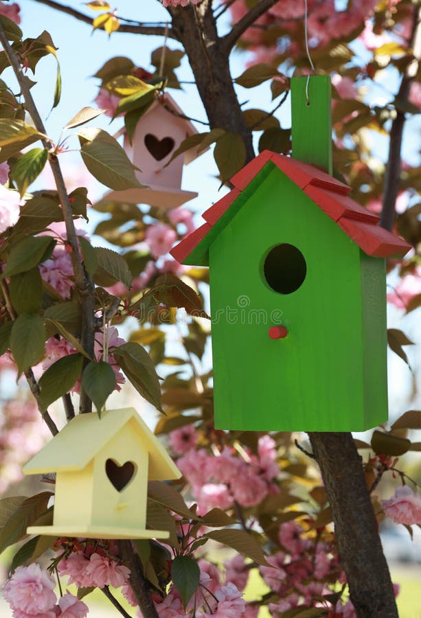 Bird Houses Hanging on Tree Branches Outdoors Stock Photo - Image of ...