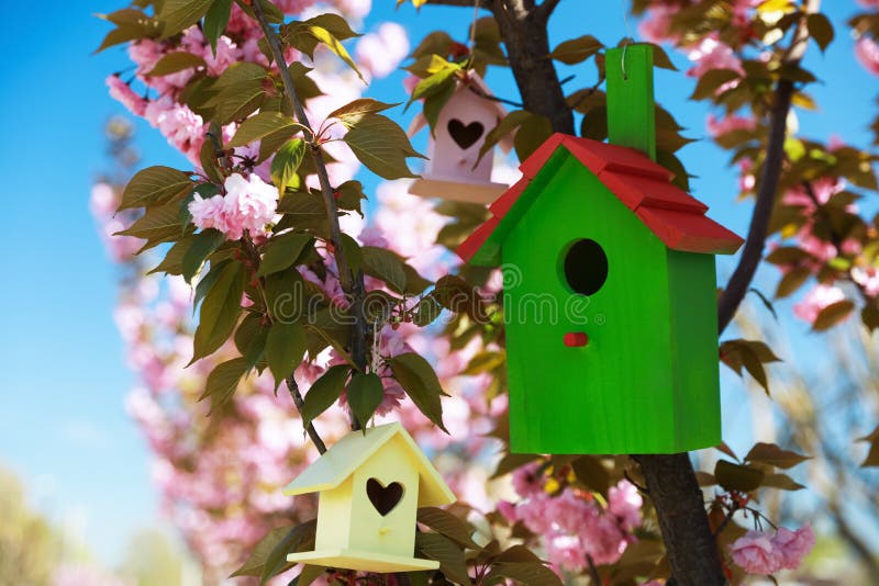 Bird Houses Hanging on Tree Branches Outdoors Stock Image - Image of ...