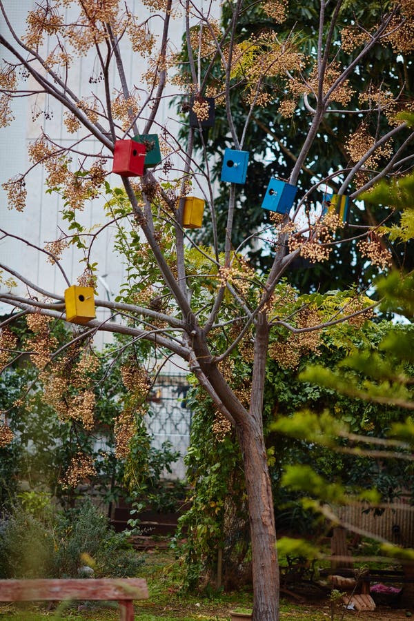Bird houses on the trees stock image. Image of autumn - 89924329