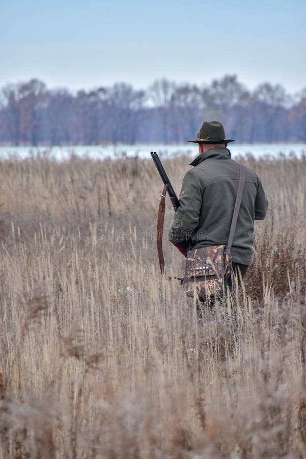 Bird Hunter stock photo. Image of grouse, game, sport - 1936836