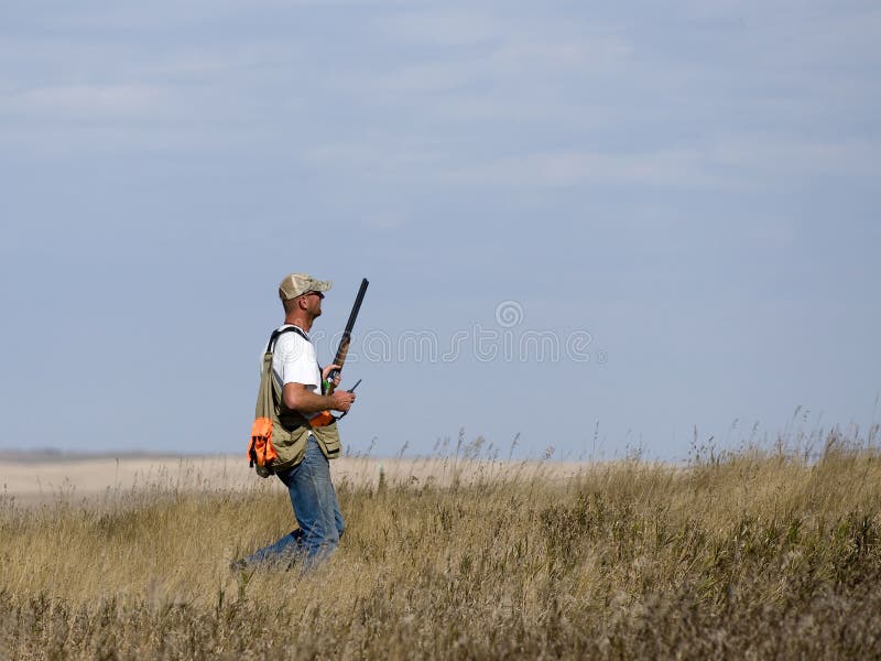 Big Bird Hunting on the Capital Stock Image - Image of animal ...