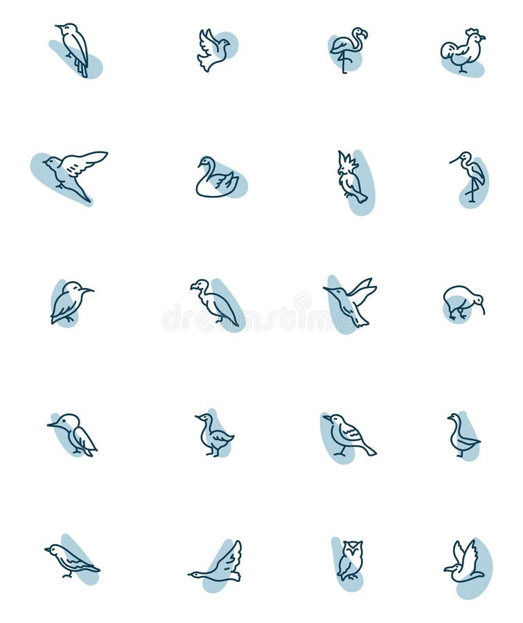 Bird icon set, icon stock vector. Illustration of symbol - 260373005