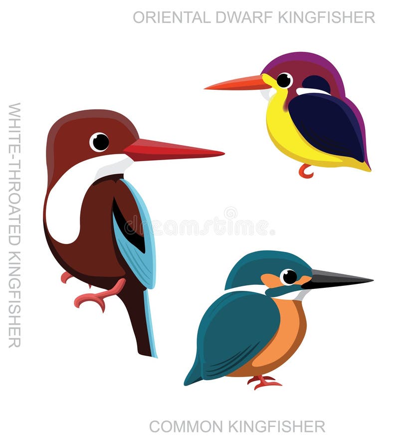 Bird Kingfisher Set Cartoon Vector Illustration Stock Vector ...