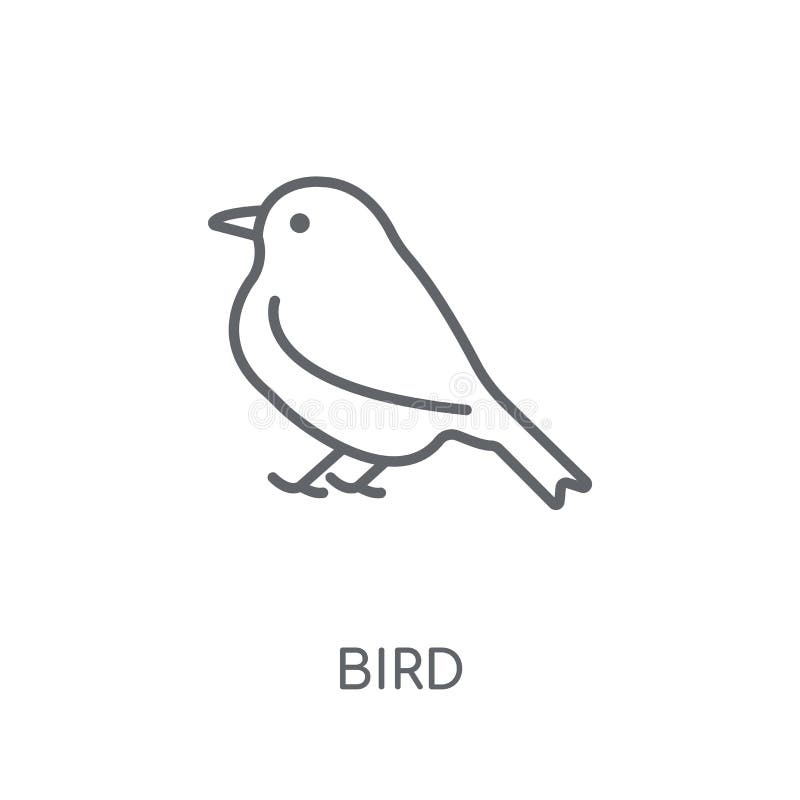 Bird Linear Icon. Modern Outline Bird Logo Concept on White Back Stock ...