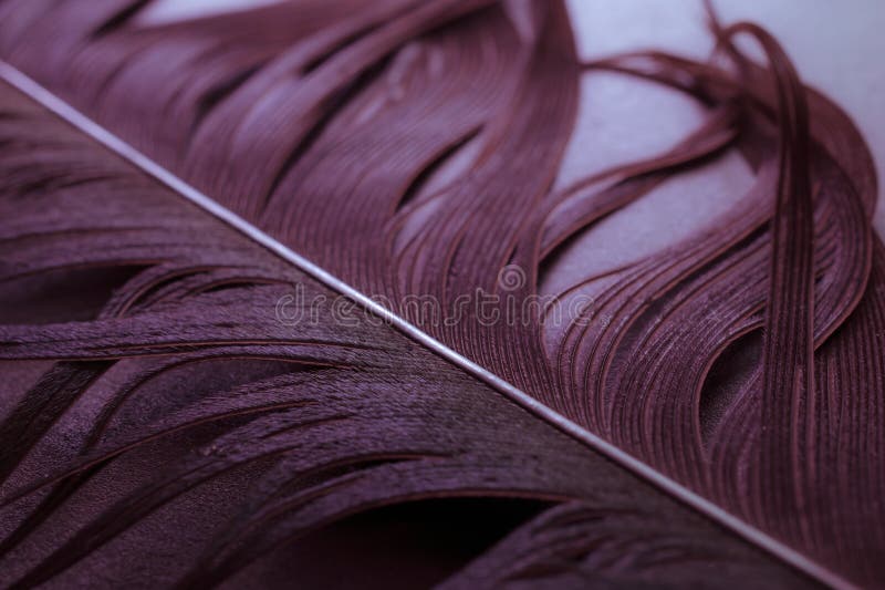 Bird Magpies Feather, Background or Teksture Stock Image - Image of ...