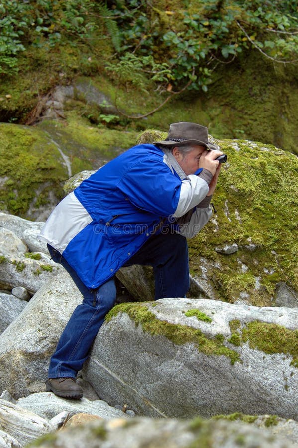 Bird Man stock image. Image of looking, bird, moss, birds - 810531
