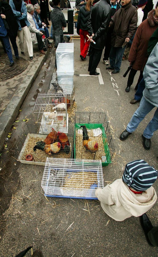 The Bird Market, Ile De La Cite in Paris Editorial Photo - Image of ...
