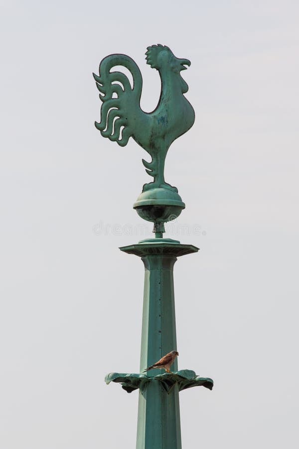 417 Compass Bird Stock Photos - Free & Royalty-Free Stock Photos from ...