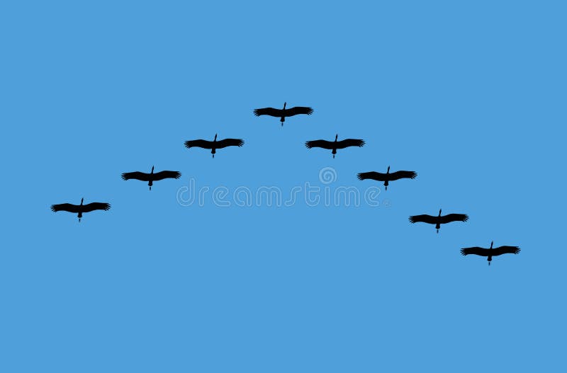 Bird Migration on Blue Sky, Illustration Vector Stock Vector ...
