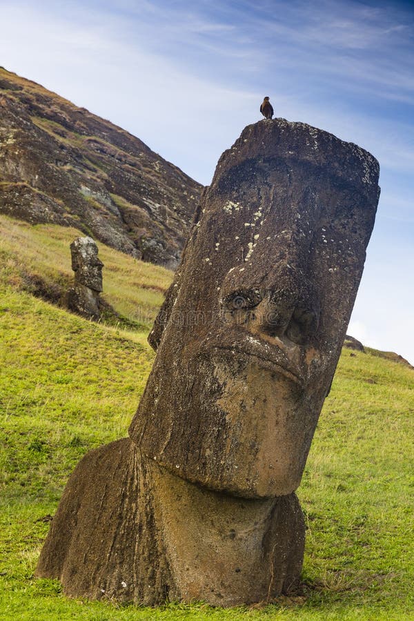 A bird on a Moai statue stock photo. Image of statue - 72975404