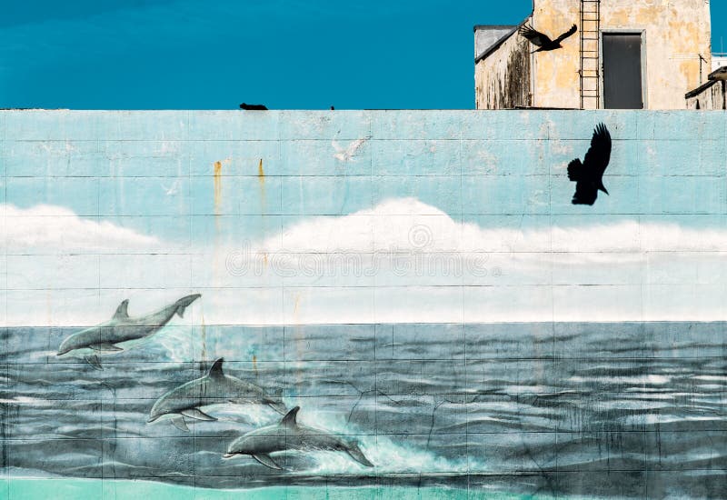 Bird in motion editorial stock photo. Image of miami - 88355008