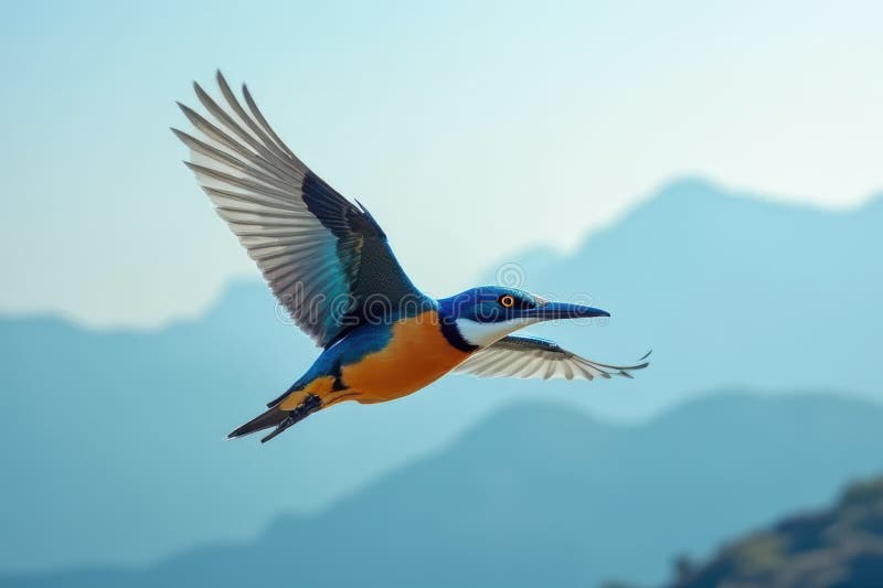 Bird in Motion stock illustration. Illustration of flight - 377435470