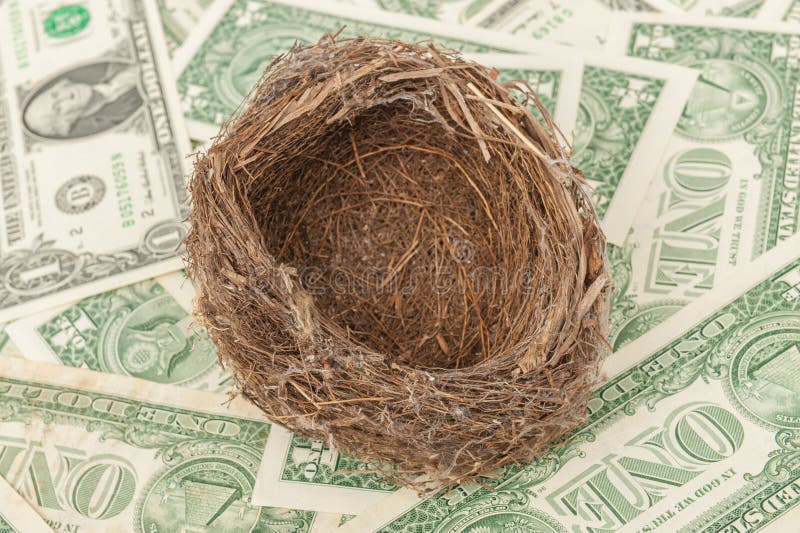 Money in bird nest stock photo. Image of nest, money - 16151318