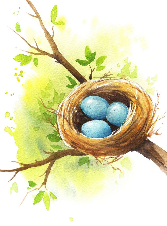 Bird Nest with Blue Eggs on a Tree Branch in Early Spring, Watercolor ...