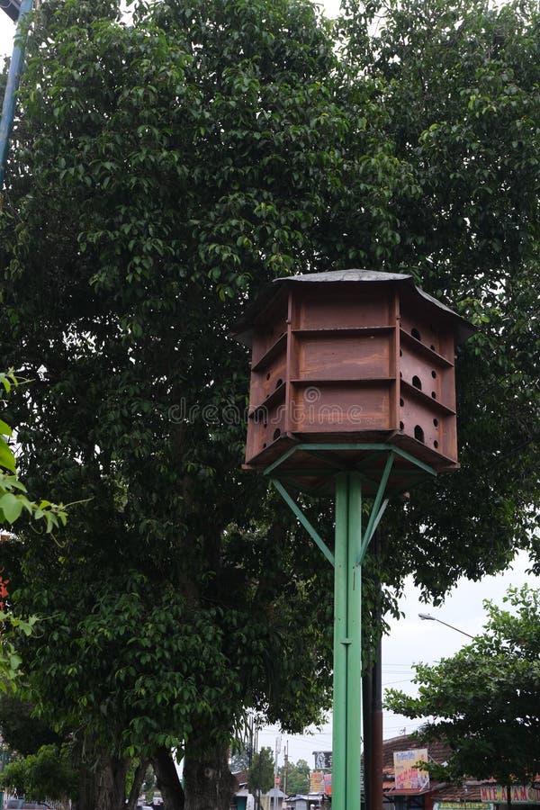 Bird Nest at City Park Wit Some Green Ley Stock Photo - Image of bird ...