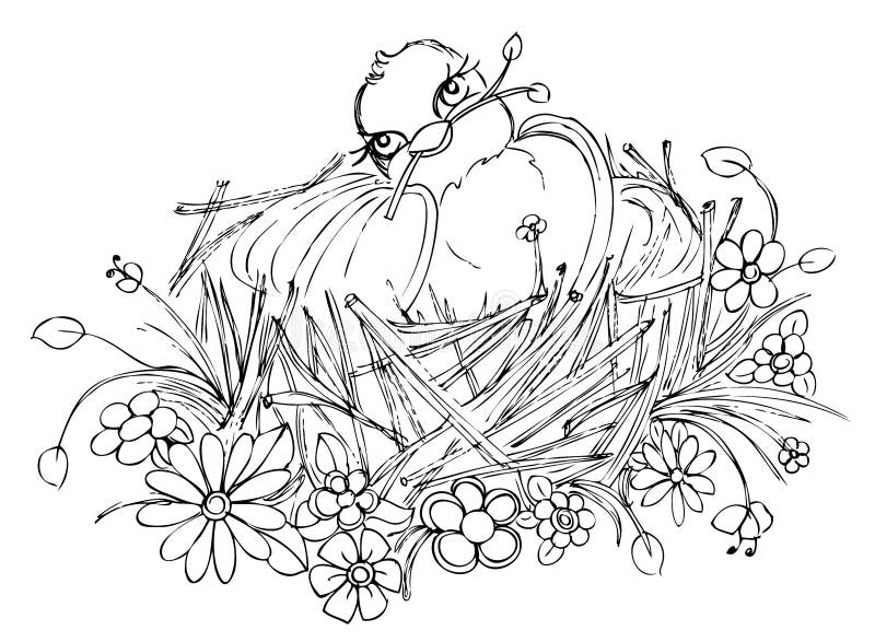 130+ Bird nest drawing Free Stock Photos - StockFreeImages
