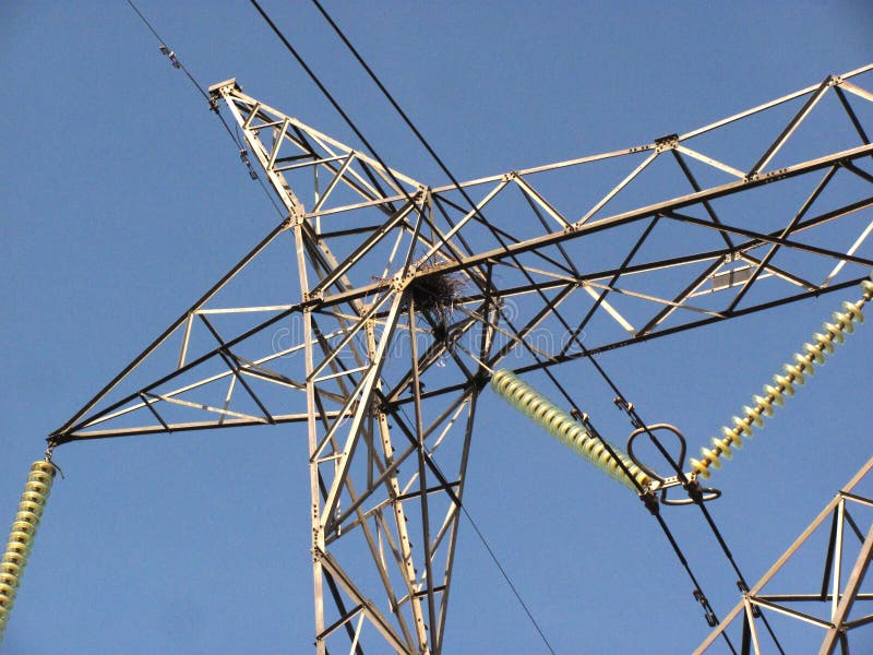 Bird Nest on Electric Tower High Tension Mass Stock Photo - Image of ...