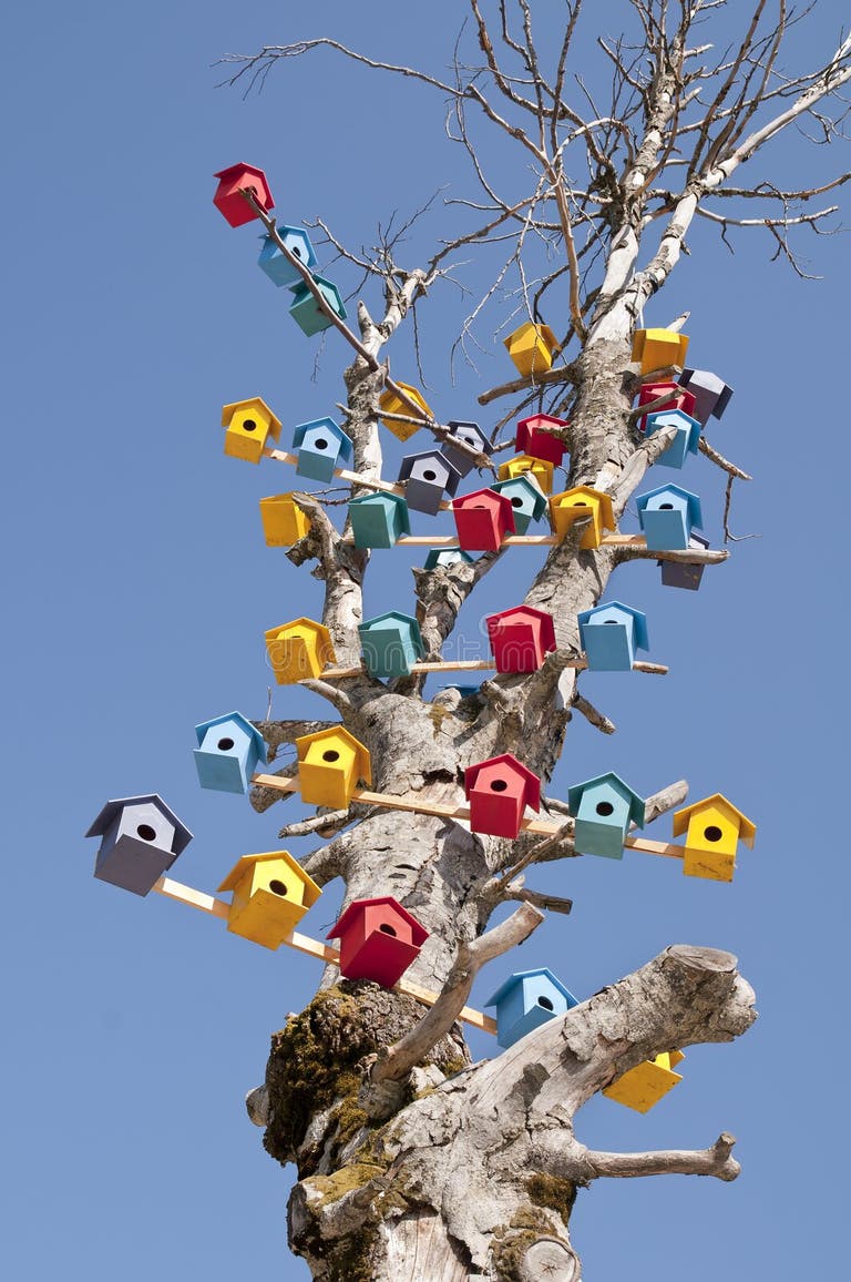 112,968 Funny Bird Pictures Stock Photos - Free & Royalty-Free Stock ...