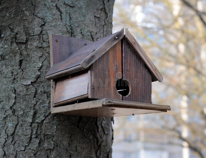 Bird Nestbox stock photo. Image of beauty, springtime - 51783430