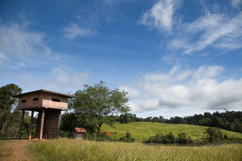 Bird observatory stock image. Image of natural, cloud - 31748313