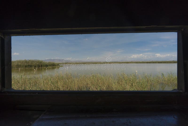 Bird Observatory in a Natural Park_2 Stock Image - Image of ...