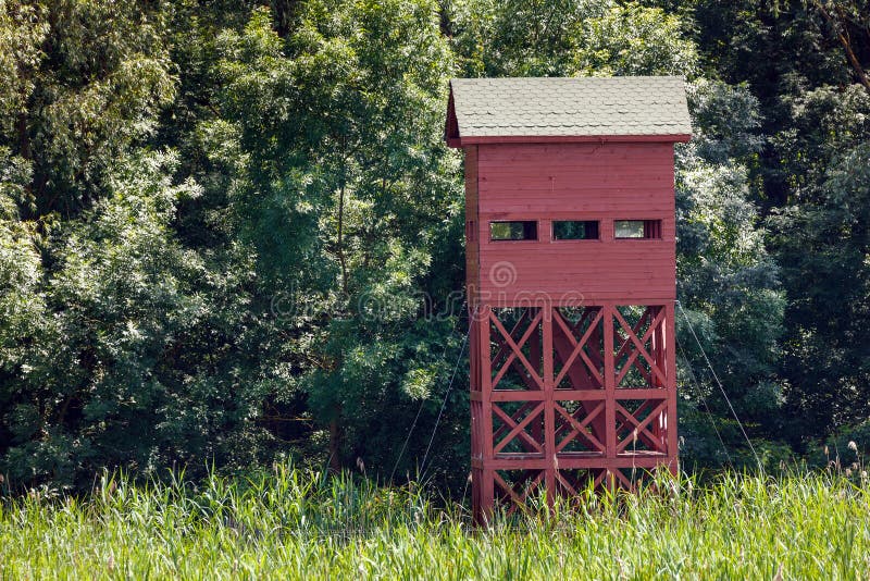 A Bird Observatory at Reed Reserve. Stock Photo - Image of reed, green ...