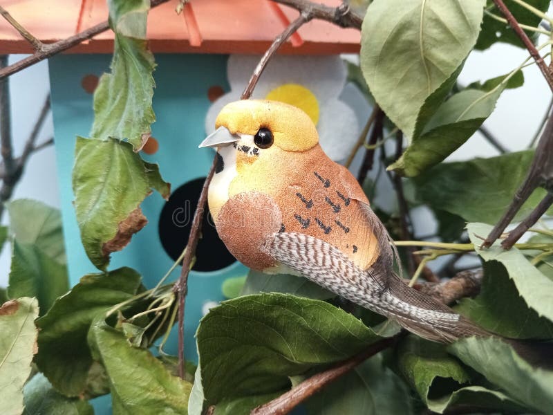 Bird Ornament in a Forest Setting with Trees and a Birdhouse Stock ...