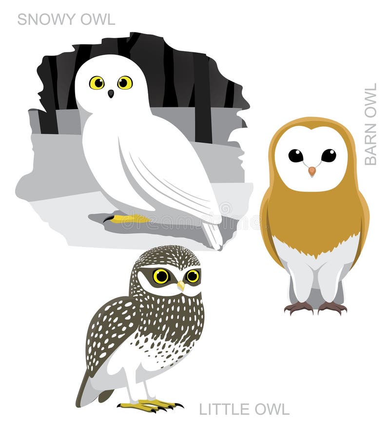 Snowy Owl Cartoon Emotion Faces Vector Illustration Stock Vector ...