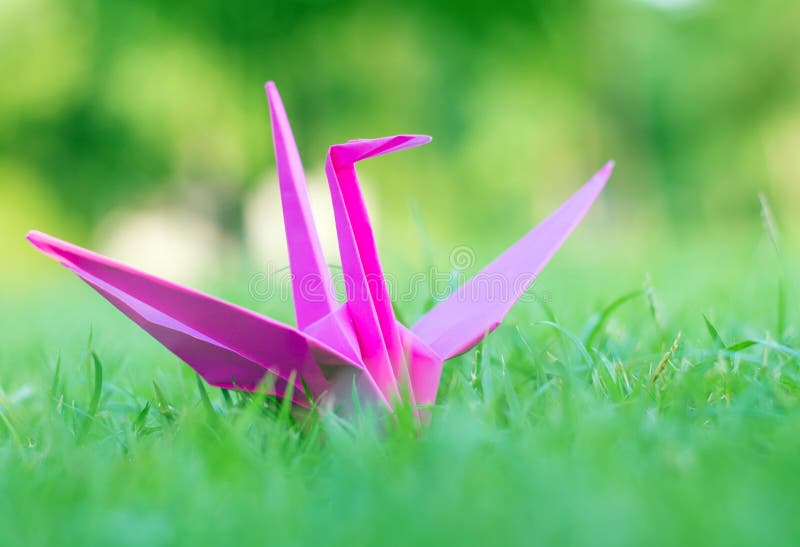 Bird Paper Standing on Green Grass Stock Photo - Image of nature, crane ...