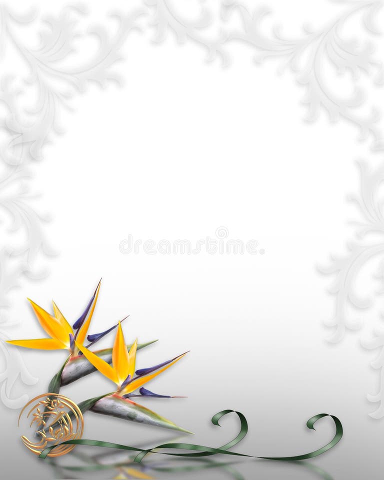 Bird Paradise Corner Border Stock Illustrations – 9 Bird Paradise ...