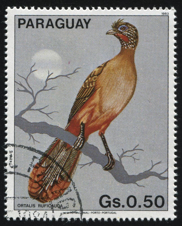 Bird Paraguay stamp editorial stock image. Image of feather - 182024934