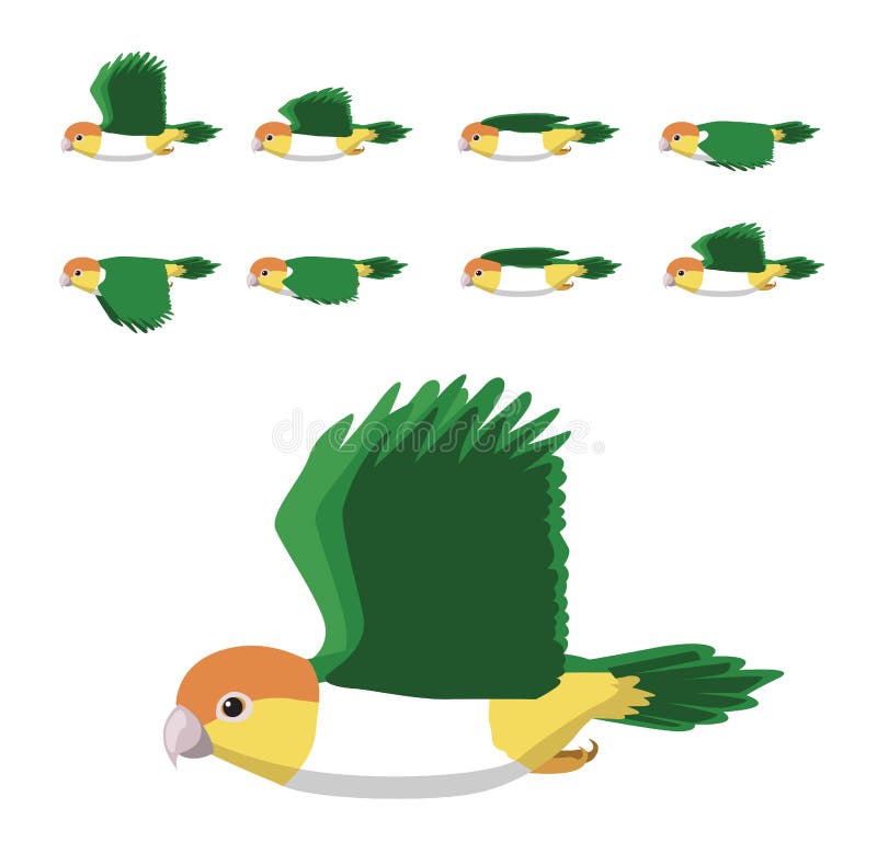 Bird Parrot Caique Yellow-Tailed Flying Animation Sequence Cartoon ...