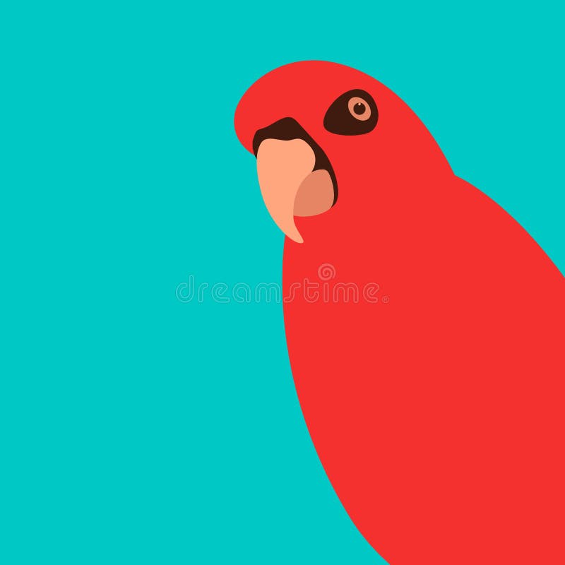 Bird Parrot Vector Illustration Flat Style Profile Stock Vector ...