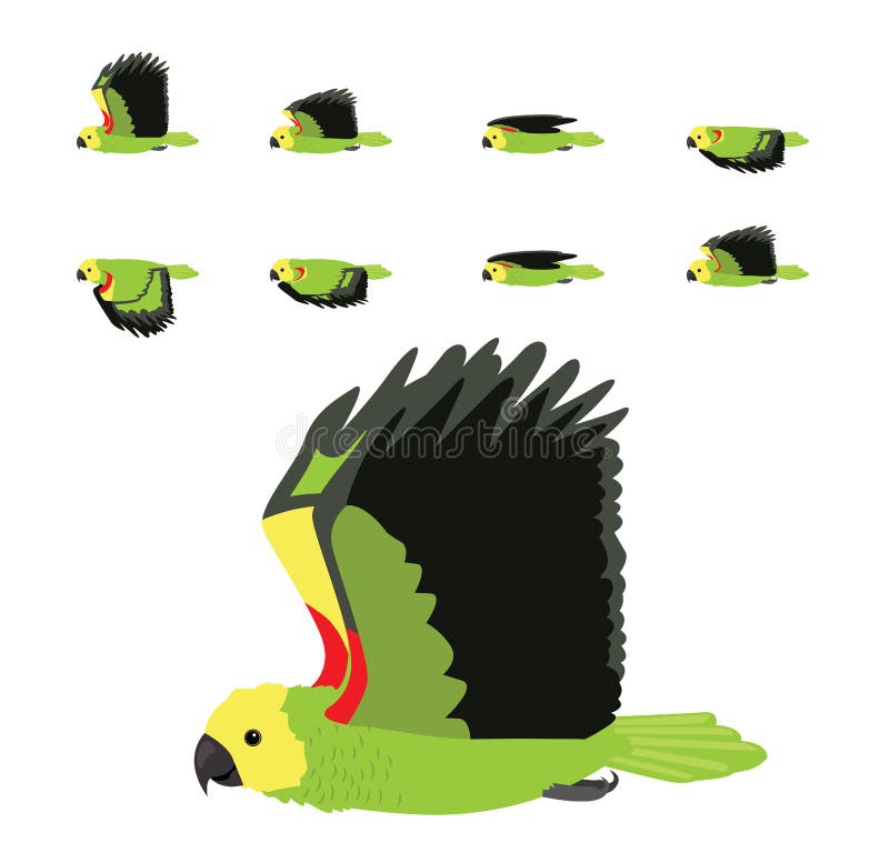 Bird Parrot Yellow-Headed Amazon Flying Animation Sequence Cartoon ...