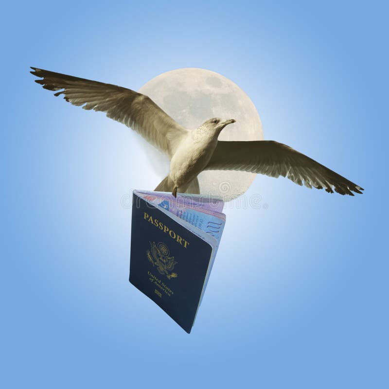 Bird with Passport stock image. Image of homeland, citizen - 16657119