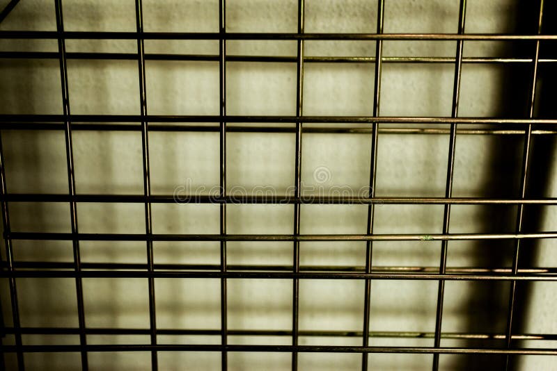 There is a Bird Sitting on the Ground Inside of the Cage Stock Photo ...