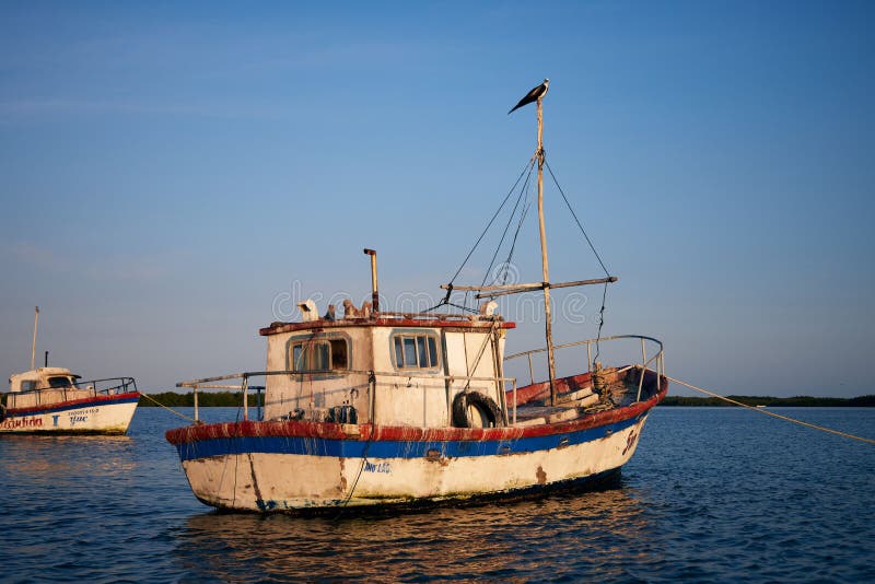 Bird Perched on an Old Fishing Boat Editorial Photography - Image of ...