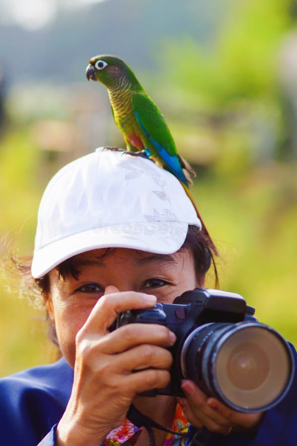 Bird on Camera Photographer Stock Image - Image of blur, catch: 15178721