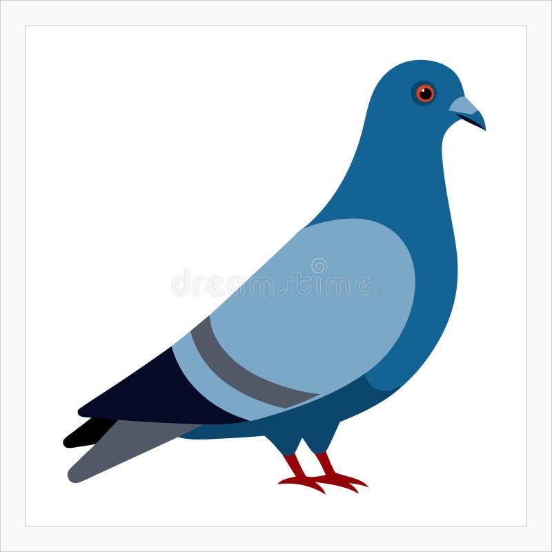 A bird pigeon vector art stock vector. Illustration of file - 328169104
