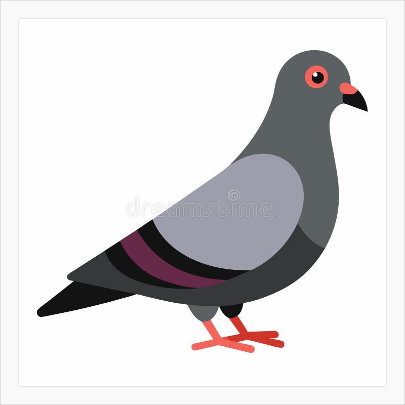 Pigeon Vector Art Illustration Stock Illustrations – 16,835 Pigeon ...
