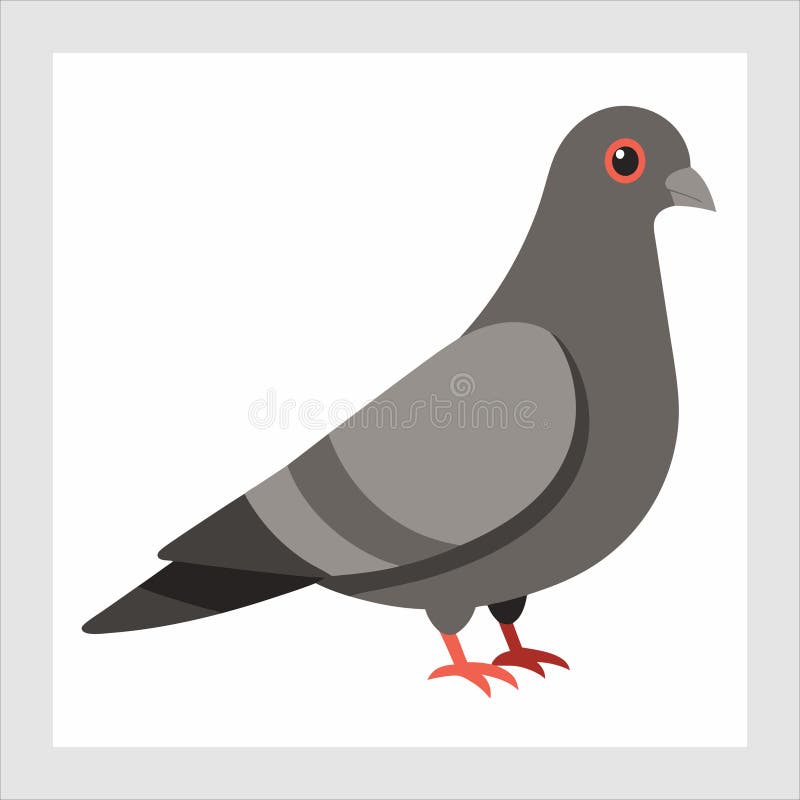 A bird pigeon vector art stock vector. Illustration of clothing - 328168433