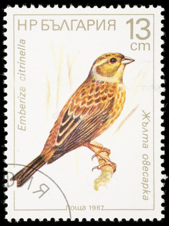 Bird on a postage stamp editorial photo. Image of bulgaria - 12416171