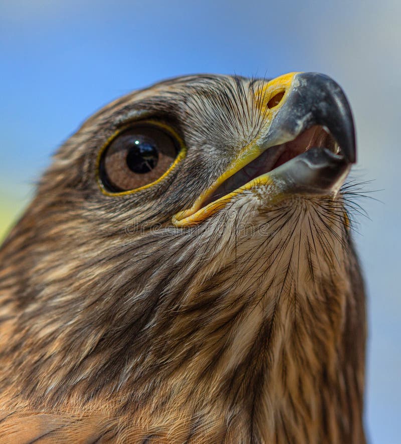 Kenneth Donaldson (Kenileed) - Photographer profile