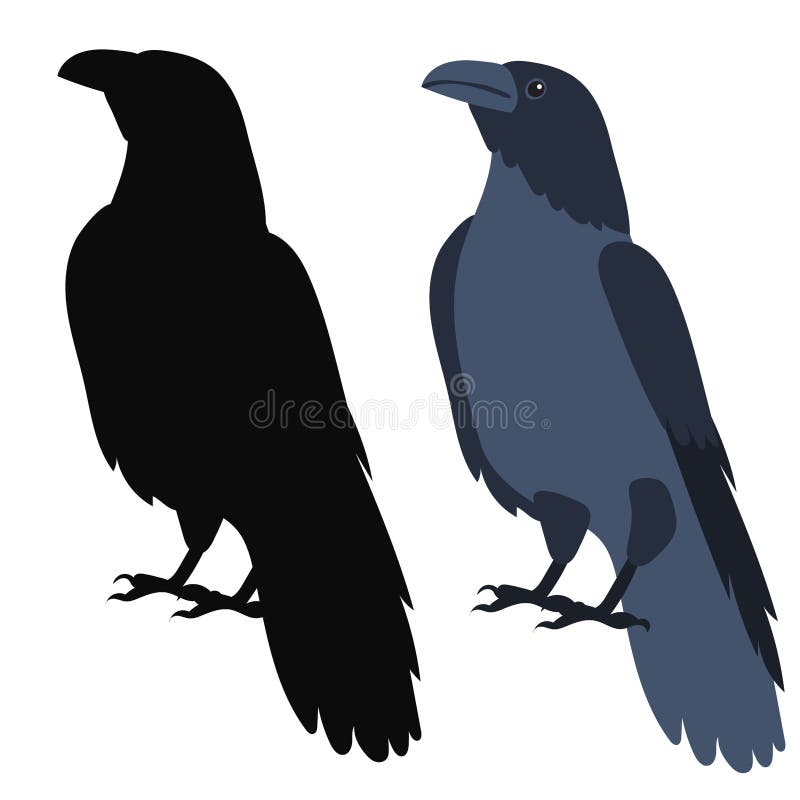 Bird, Raven Flat Design, Isolated Stock Vector - Illustration of cuckoo ...