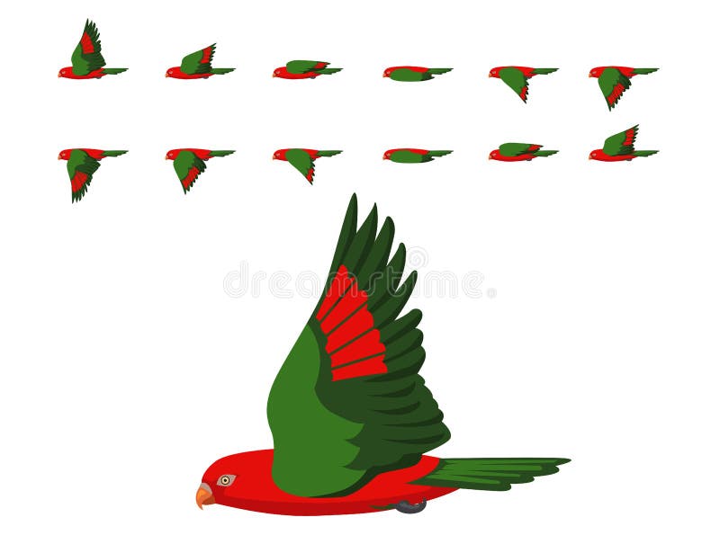 Bird Red Parrot Chattering Lory Flying Animation Sequence Cartoon ...