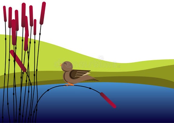 Reed Stock Illustrations – 15,280 Reed Stock Illustrations, Vectors ...