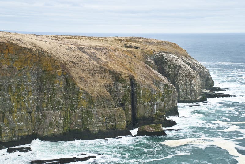 Bird Rock stock photo. Image of animal, landscape, colony - 12267926