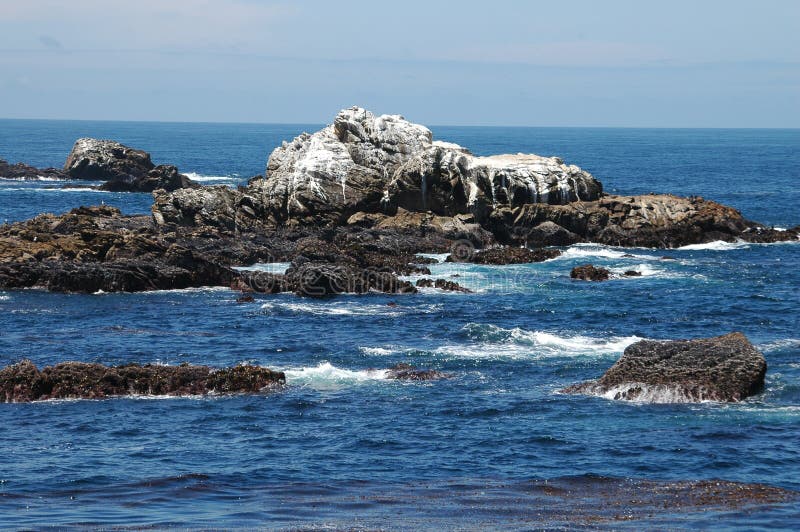 Bird Rock stock photo. Image of plant, foliage, seas, coastline - 136280