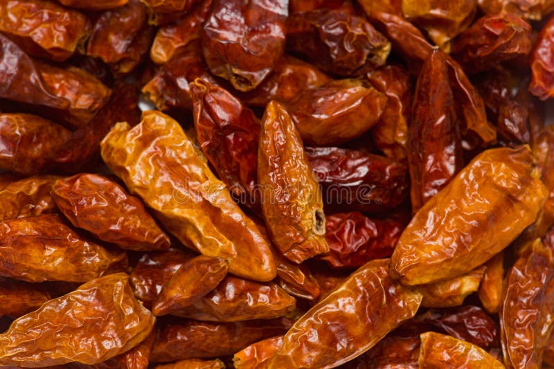 Bird s Eye Chile Pepper stock photo. Image of birds - 310990432